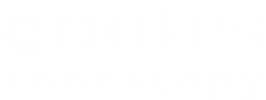 eNotes – Endoscopic Notes